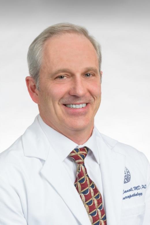 Gabriele Bartoli Brain Tumor Lab | Columbia Neurosurgery in New York City
