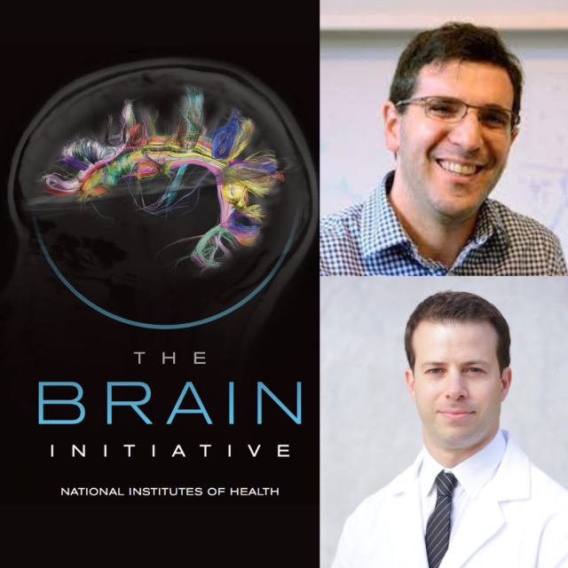 New $3.1M NIH Grant to Explore Relationship Between Anxiety and Memory ... New $3.1M NIH Grant to Explore Relationship Between Anxiety and Memory ...