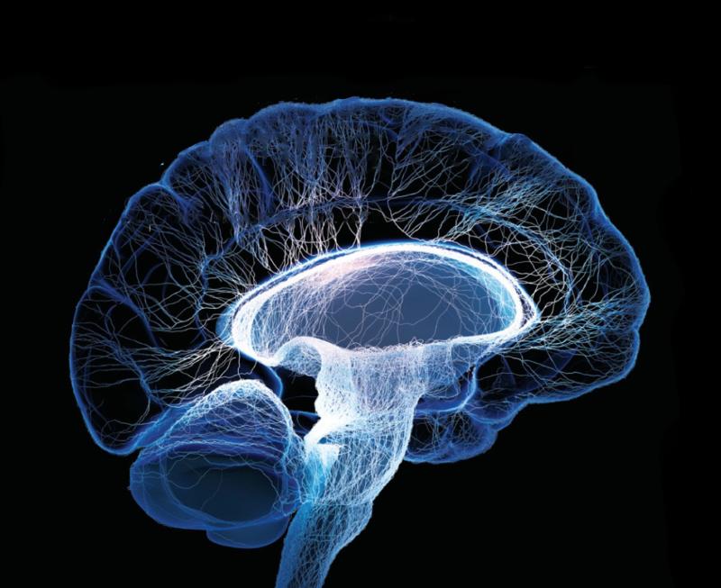 Advancing Deep Brain Stimulation: The Latest Innovations in Parkinson’s ...