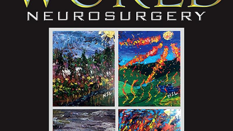 Michael B. Sisti, MD | Columbia Neurosurgery in New York City