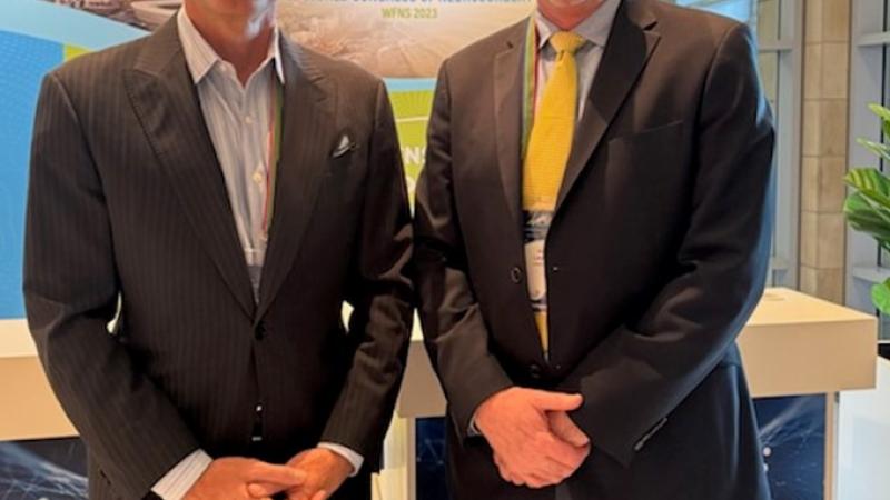 Peripheral Nerve Stimulation Procedure - NYC | Columbia Neurosurgery in ...